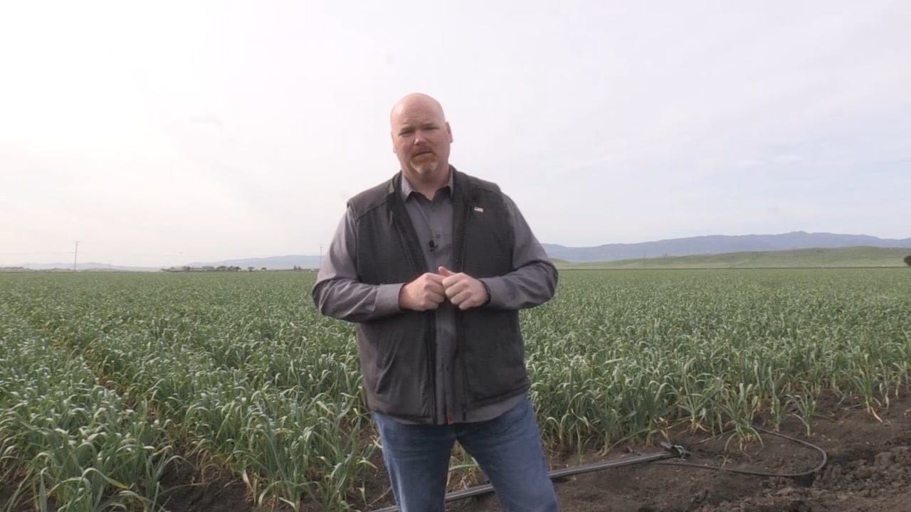 Gillio, Muenzer reflect on county board race | San Benito Live